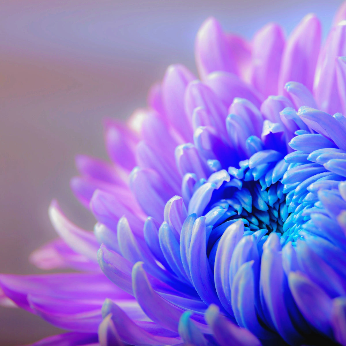 Exploring the Benefits and History of 111Hz – Mettaverse