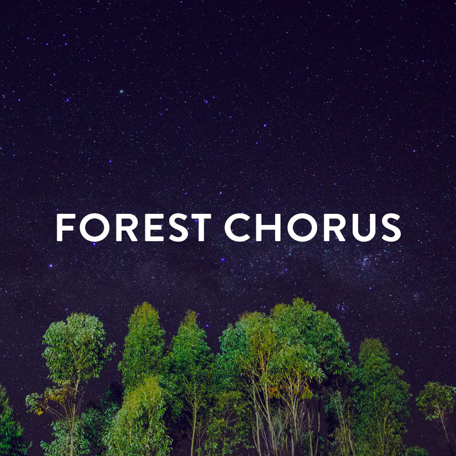 Forest Chorus - 10Hz Alpha – Mettaverse