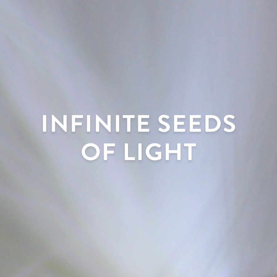 Infinite Seeds of Light – Mettaverse