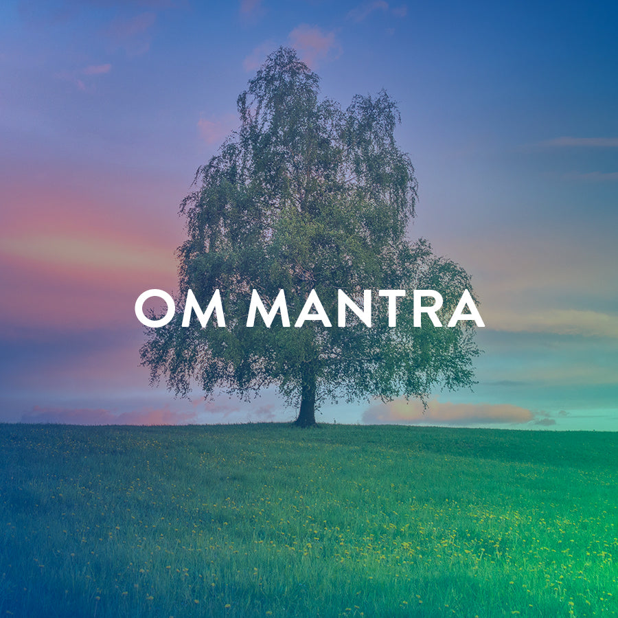 Om Mantra – Mettaverse