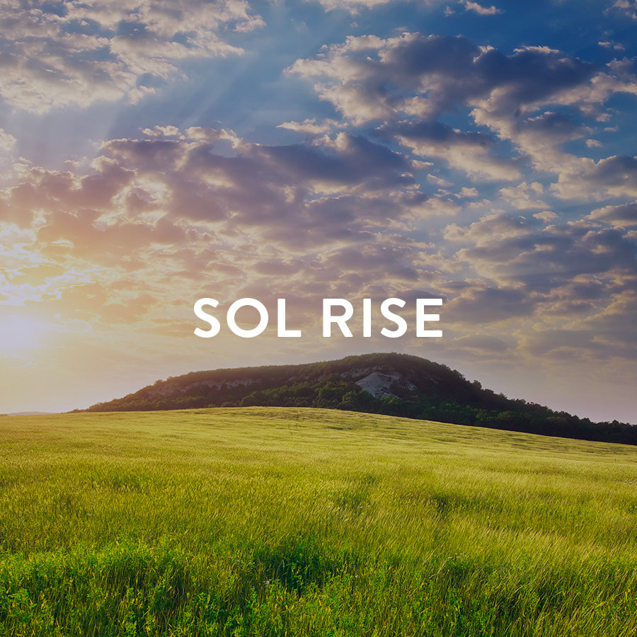 Sol RIse – Mettaverse